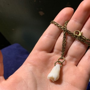 Tooth Fairy Series: One Real Human Tooth Pendant Necklace - Etsy UK