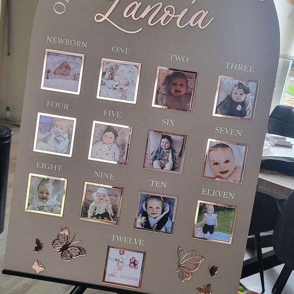 Acrylic Milestone 1st Birthday Photo Board, Butterfly One Year of Baby ...