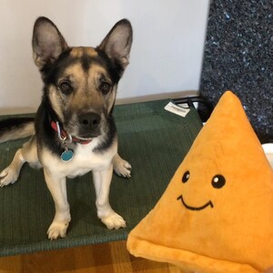 Samosa Plush Chew Toy for Pets - Etsy