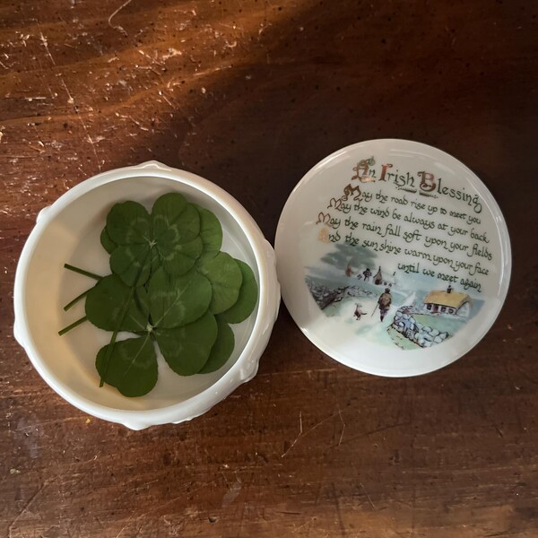 Real Four-leaf Clover Bookmark - Etsy