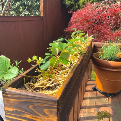 Cedar Railing Planter Box With Brackets, Balcony Planter Box, Hanging Planter Box, Deck Rail ...