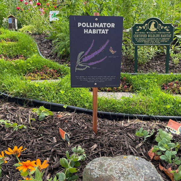 Native Plant Garden Sign | Pollinator Habitat Sign | Pollinator Garden ...