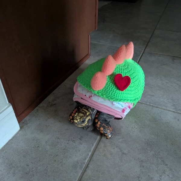 Crochet Tortoise Tuxedo: Handmade Reptile Costume With Rose - Etsy