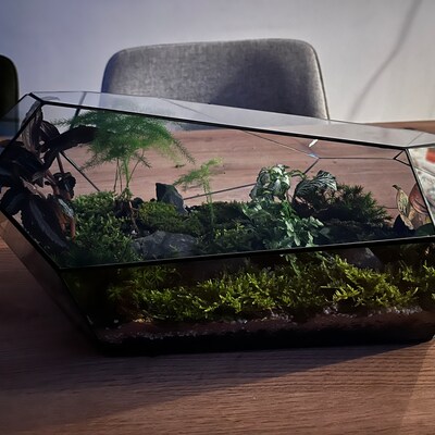 Glass Display Case 41 Cm Black Card Jewelry Photo Box Wedding Bouquet ...