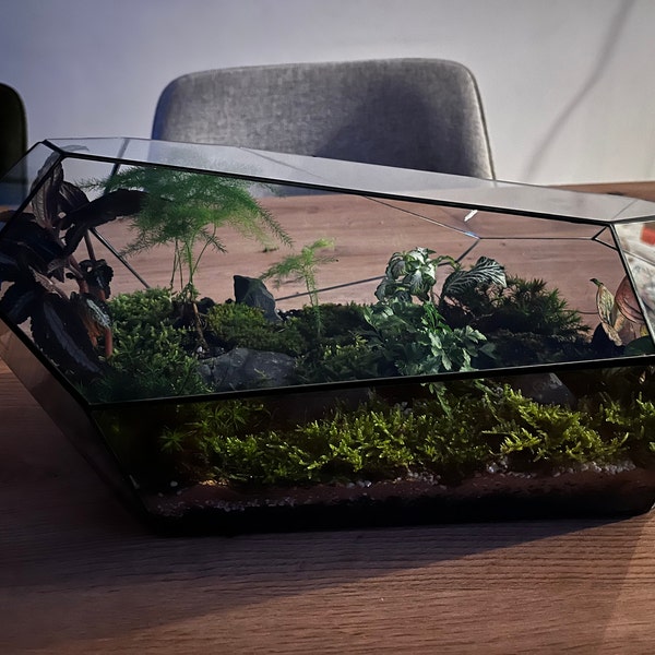 Waterproof 18 Inches Geometric Terrarium Galaxius - Stunning Parametric ...