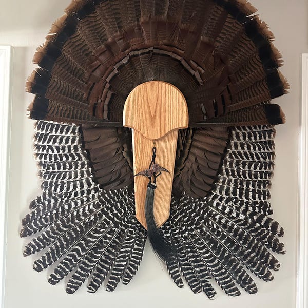 Turkey Plaque-wings and Fan - Etsy