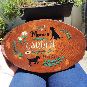 Pink Lycoris Squamigera Mystery Resurrection Lily Bulbs Special Buy 50 ...