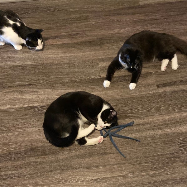 Frisbee for Dog Soft Dog Toy Gift for New Dog Tough Dog Toy Soft Puppy Toy for Fetch Fun Dog ...