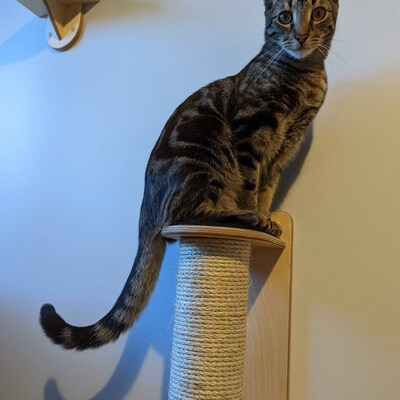 Cat Platform SWING BRIDGE original - Etsy