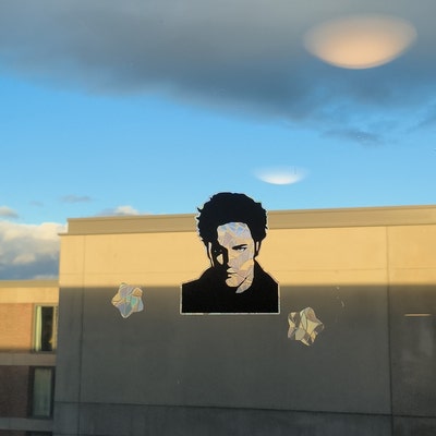 Celestial Suncatchers set of 16 / Static Window Cling / Renter Friendly ...