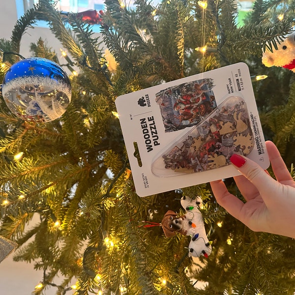 SET OF 11 Geek Toys IQ Puzzle Brain Fitness Games Brain Teaser Puzzles ...