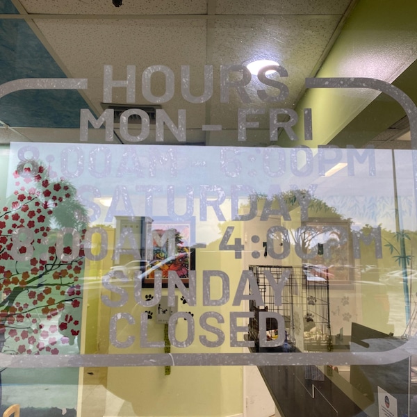 Instagram Decal, Window Decal, Personalized,instagram Business ...