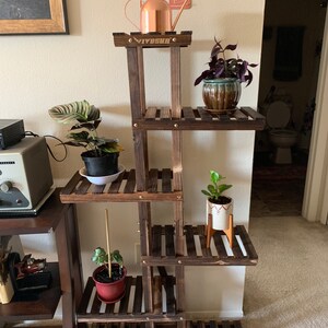 50 Seeds Blue Raspberry Bush SWEET EDIBLE Berry Fruits - Etsy