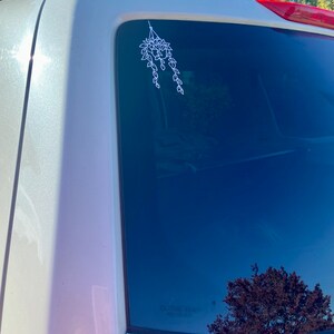 Pothos Basket Decal, Hanging Planter, Plant Mama, Plant Person Car ...