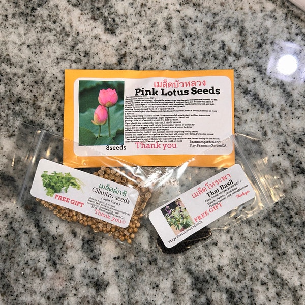 300-350seeds.kangkong,water Convolvulus,river Spinach,chinese Spinach ...