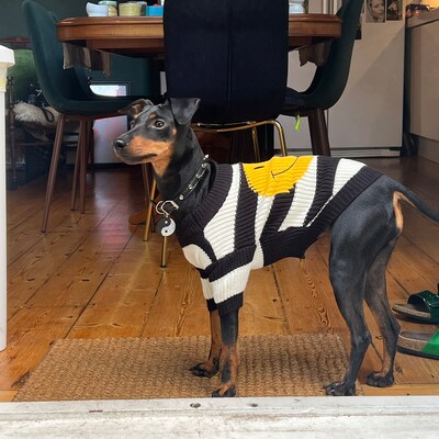 Frosted Dog Tag Personalized Dog Tag Dog Id Tag Cat Name - Etsy