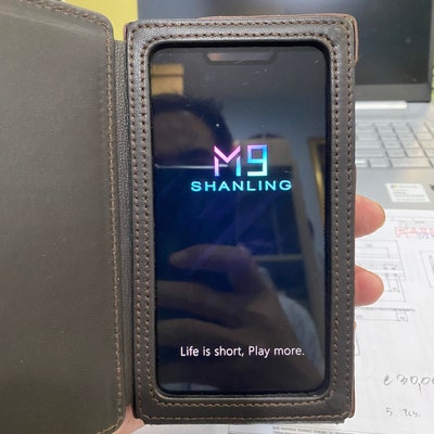 Ibasso DX100 Leather Case - Etsy