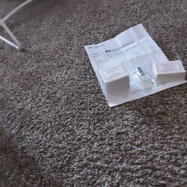 Scented Wax Melts Dots, Choose Your Scent, Fall Scented Scoopable Wax ...