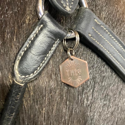 Custom Bridle Tag, Halter Tag, Horse Name Tag, Gift for Horse Lover ...