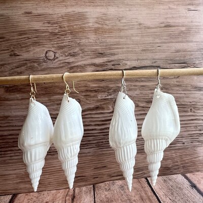 Capiz Shells, Seashells, Shells, Beach Decor Home Decor, Craft Shells ...