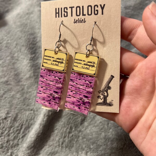 Mouse Brain Acrylic Microscope Slide Ornament - 3.5” - Etsy