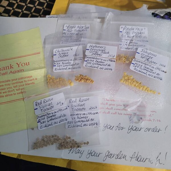 Cassidy's Folly Tomato Seeds casady's Folly - Etsy