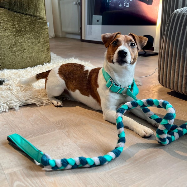 Braided Fleece Leash 3-in-1 – Perfect for Agility Starts - Etsy