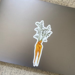 Jack in the Pulpit Wildflower Flower Plant Vinyl Sticker | Etsy