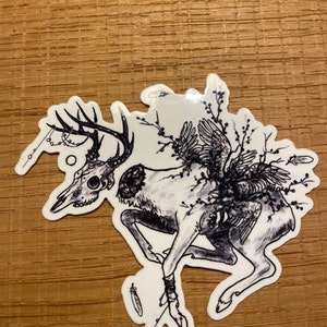 Form and Void 8x8 Fine Art Print Dark Deer Skull Darkness Creepy Spooky ...