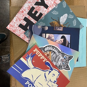 USPS pspspsps Postcards / Funny Cat Postcards to saveusps - Etsy