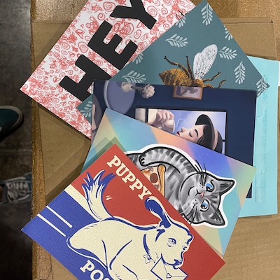 USPS pspspsps Postcards / Funny Cat Postcards to saveusps - Etsy