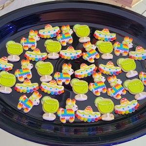 Mini Safari Jungle Cookies 2 1/2 Dozen Mini Cookies Mini Tiger, Monkey ...