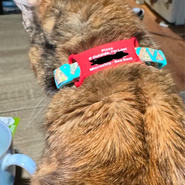 Medical Alert Refrigerator Magnet - Personal Emergency Medical ...