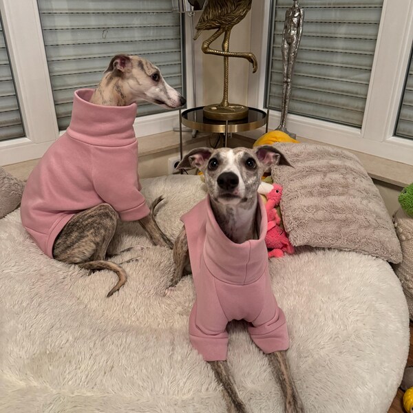 Sewing Pattern for Italian Greyhound Coat / Jacket / Waterproof ...