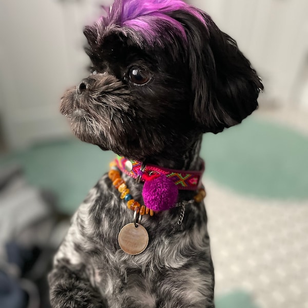 SMALL Mexican Pet Collar - Leather Dog Collar, Tribal Dog Dollar ...