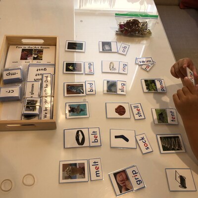 Biomes of the World Montessori Three/four Part Cards - Etsy