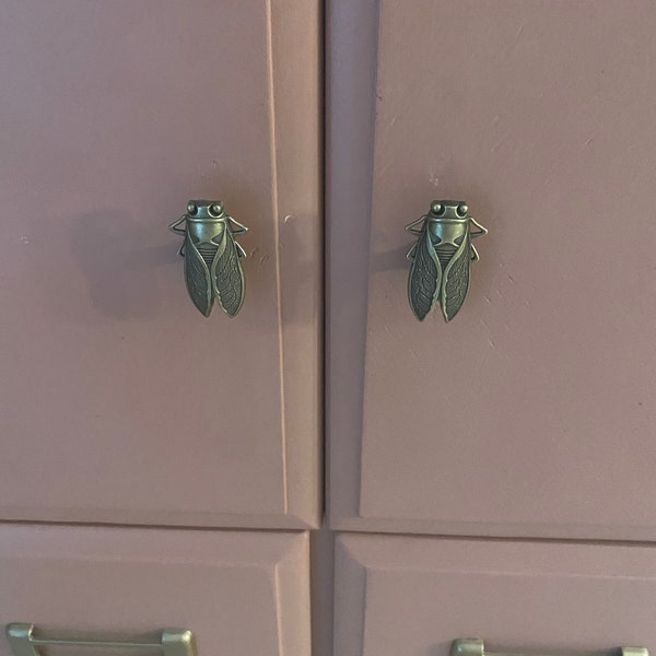 Insect Drawer Knobs in Brass - Cicada Cabinet Knobs - Insect Dresser Knobs in Brass - Entomology ...