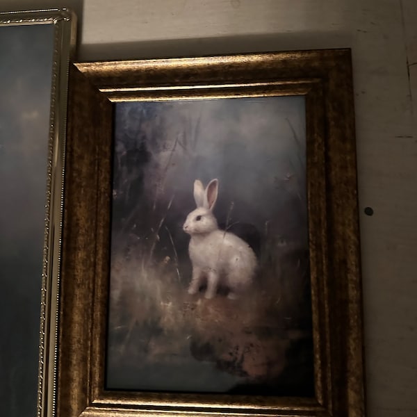 White Bunny Woods | Dark Academia, Dark Cottagecore Decor, Wild Hare ...