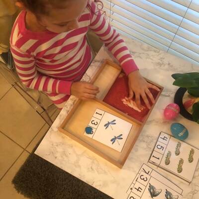 Printable I Spy Bugs. Insect Activity Preschool. Kindergarten - Etsy