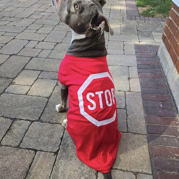 Customizable Pet Shirt: Create a Unique Look for Your Pet Personalized ...