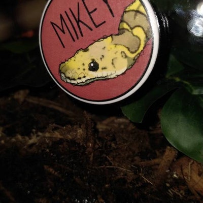 Enclosure Name Plate Ceramic Ball Python - Etsy
