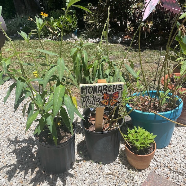 Monarchs Matter Butterfly Garden Sign, Butterflies Wooden Sign, Flower ...