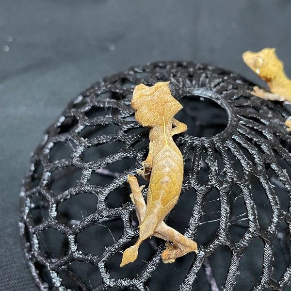 Fishing Rod Transporter, Carrier, Rod Rack, Rod Carrier, New Design - Etsy