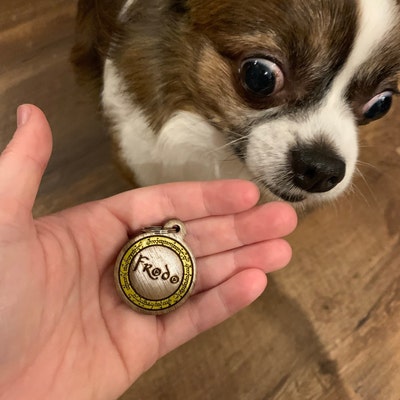 Binx is My Boo SVG - Etsy