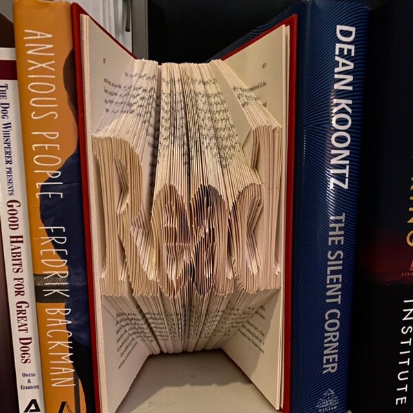 READ Book Folding Pattern 195 Folds 390 Numbered Pages. PDF Digital ...