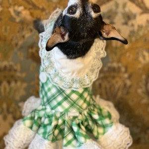 Dog Show Training Stack Box Toy Adult Size Stack Training 20 X 12 ...