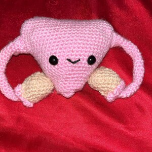 Anatomical Uterus Crochet Pattern PATTERN ONLY Instant - Etsy UK