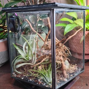 TALL PAGODA MODEL Terrarium & Aquarium Decor Resin Made | Etsy