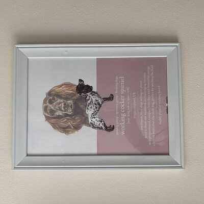 Pointer Brothers German Shorthaired / Wirehaired / English Pointer ...