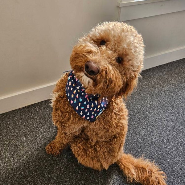 Chambray Pumpkin Bandana // Harvest, Pumpkins // Khaki, Orange ...